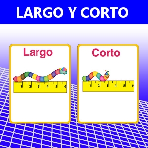 LARGO Y CORTO